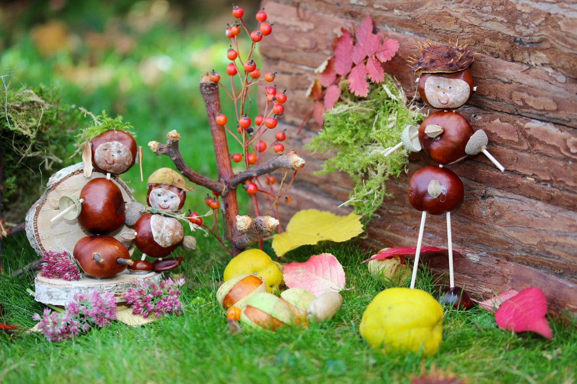 Forest Kindergartens: A revolution in the making | Forest Preschool